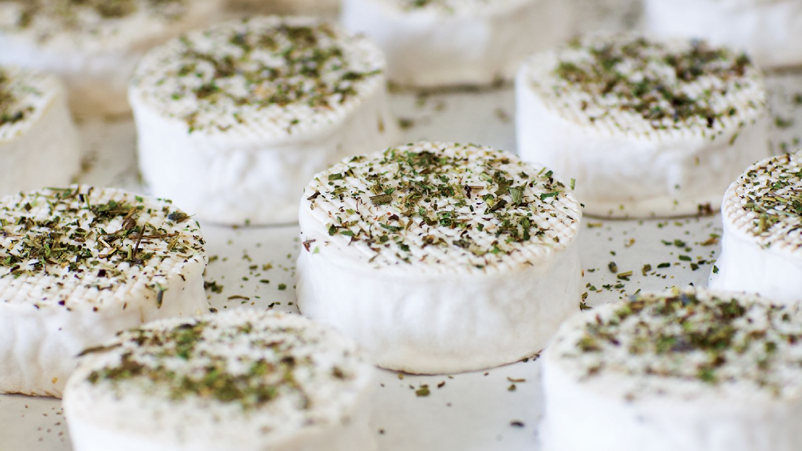 Cheesy Compositions - Steinway & Sons