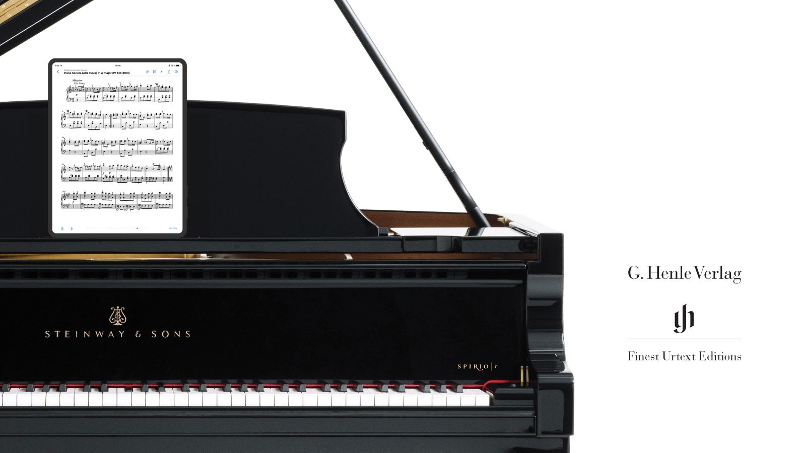Steinway x Henle